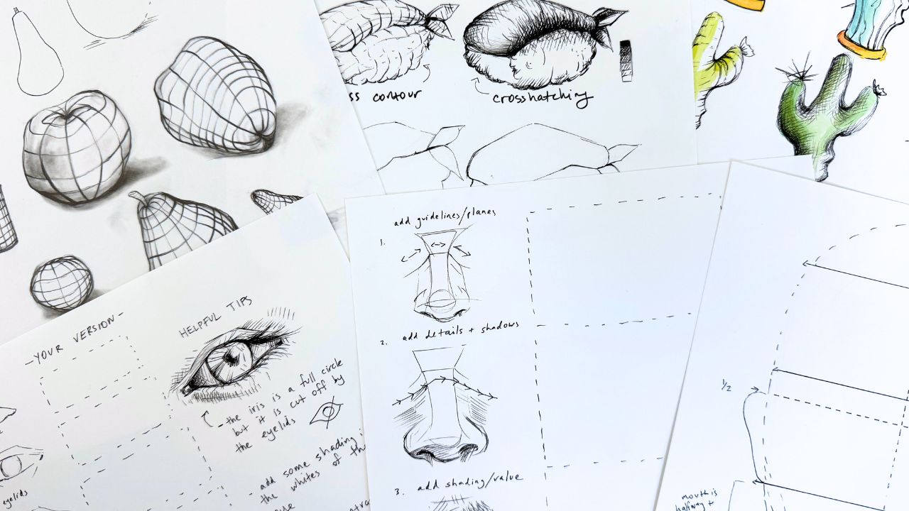 Complete Drawing Bundles: Foundations + Portrait